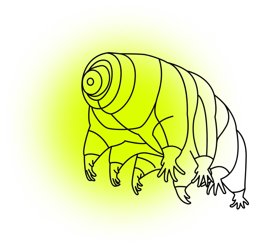 Outdoor Light Installations for Landscape Lighting Activation | Illuminating Light Art Festival ...